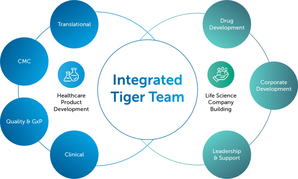 Our Solutions - 2 Bridge