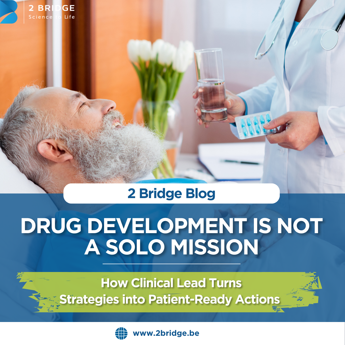 The Clinical Lead: Turning Strategy into Patient-Ready Action - 2 Bridge